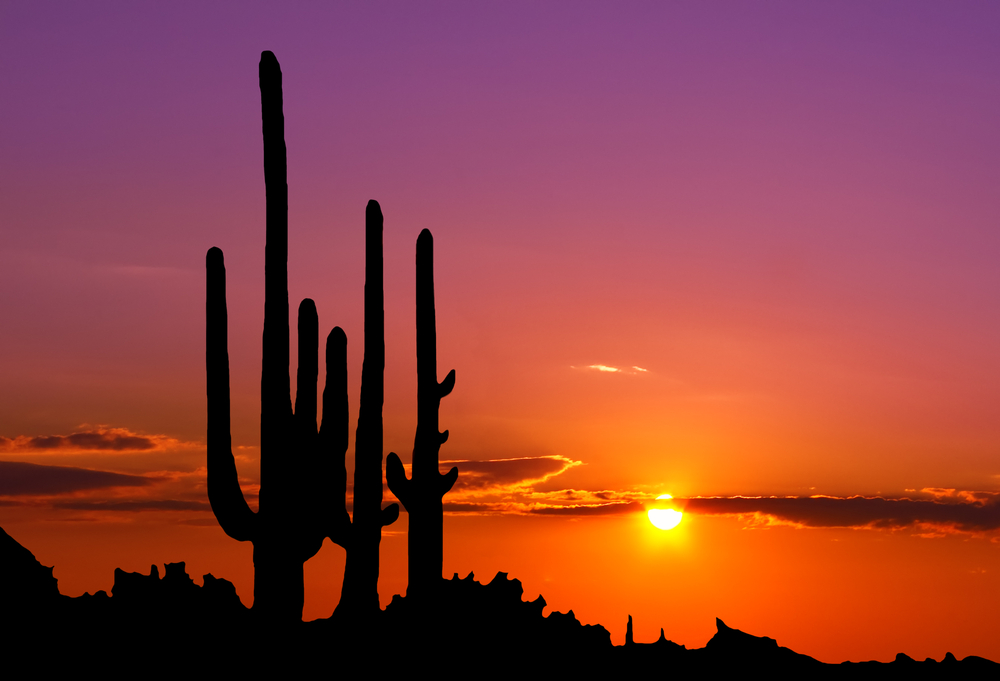 National New Mexico Day – Five Reasons to Visit New Mexico ...